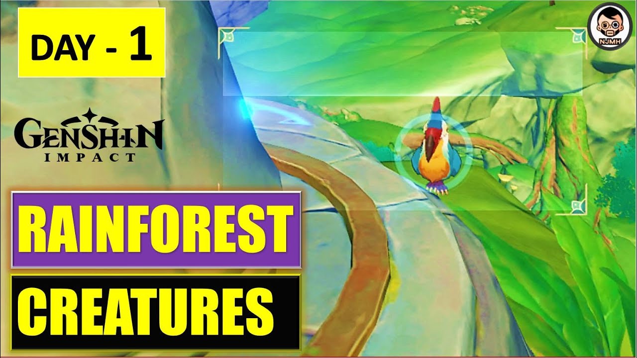 Rainforest Creature: Take pictures of 4 different animals found in ...