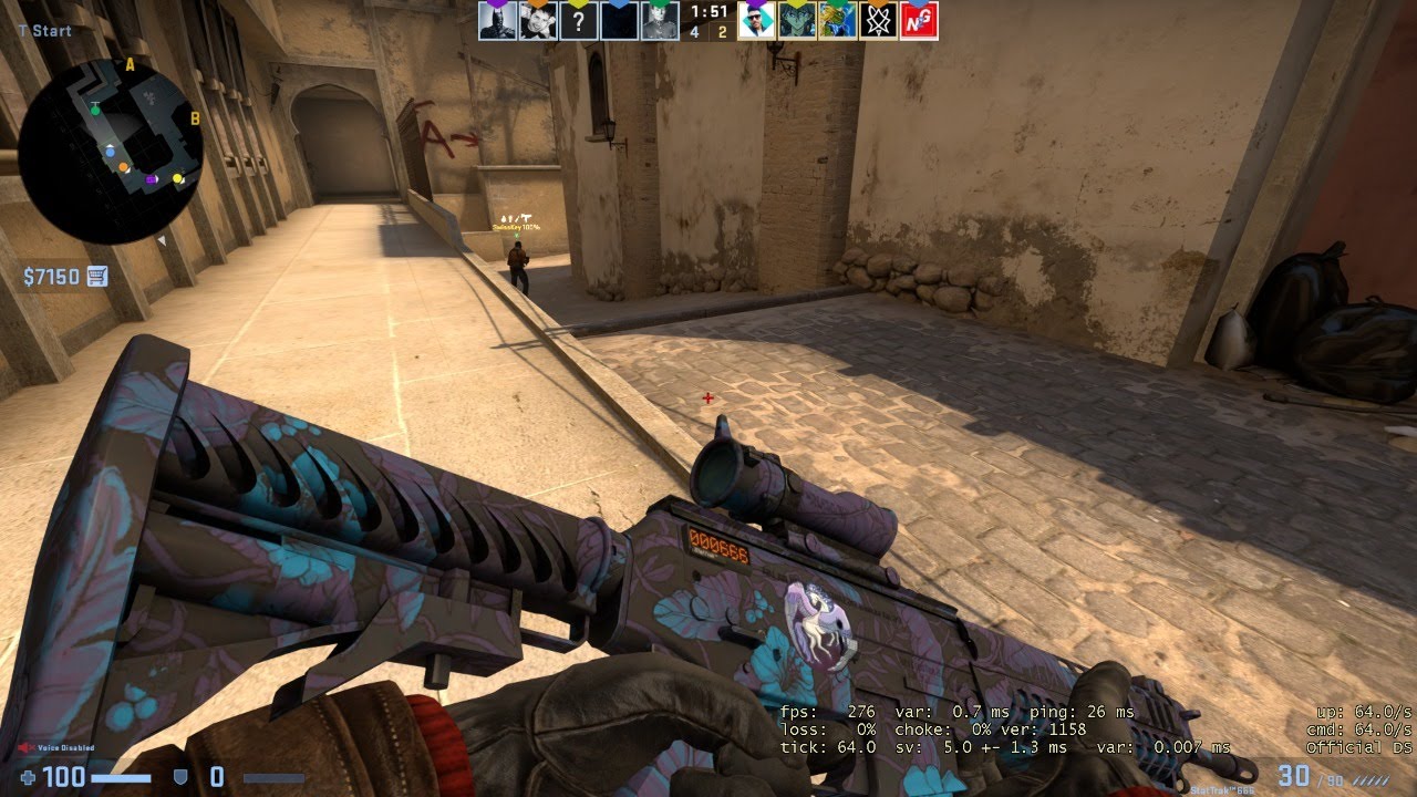 666 CONFIRMED KILLS (Counter Strike Global Offensive) - YouTube
