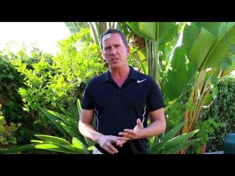 Parkinson's Treadmill Exercises Strategies for the Trainer & PT - YouTube