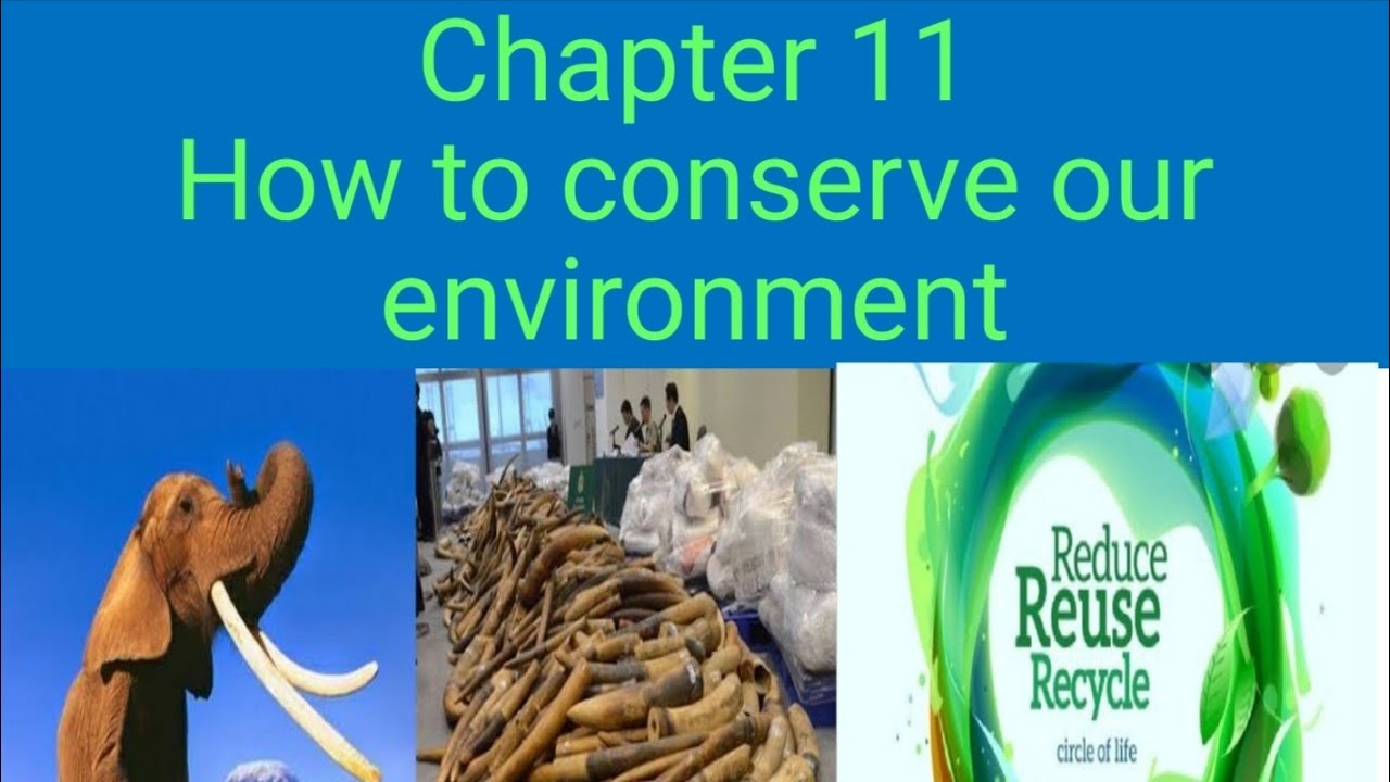 class 5 how to conserve our environment - YouTube