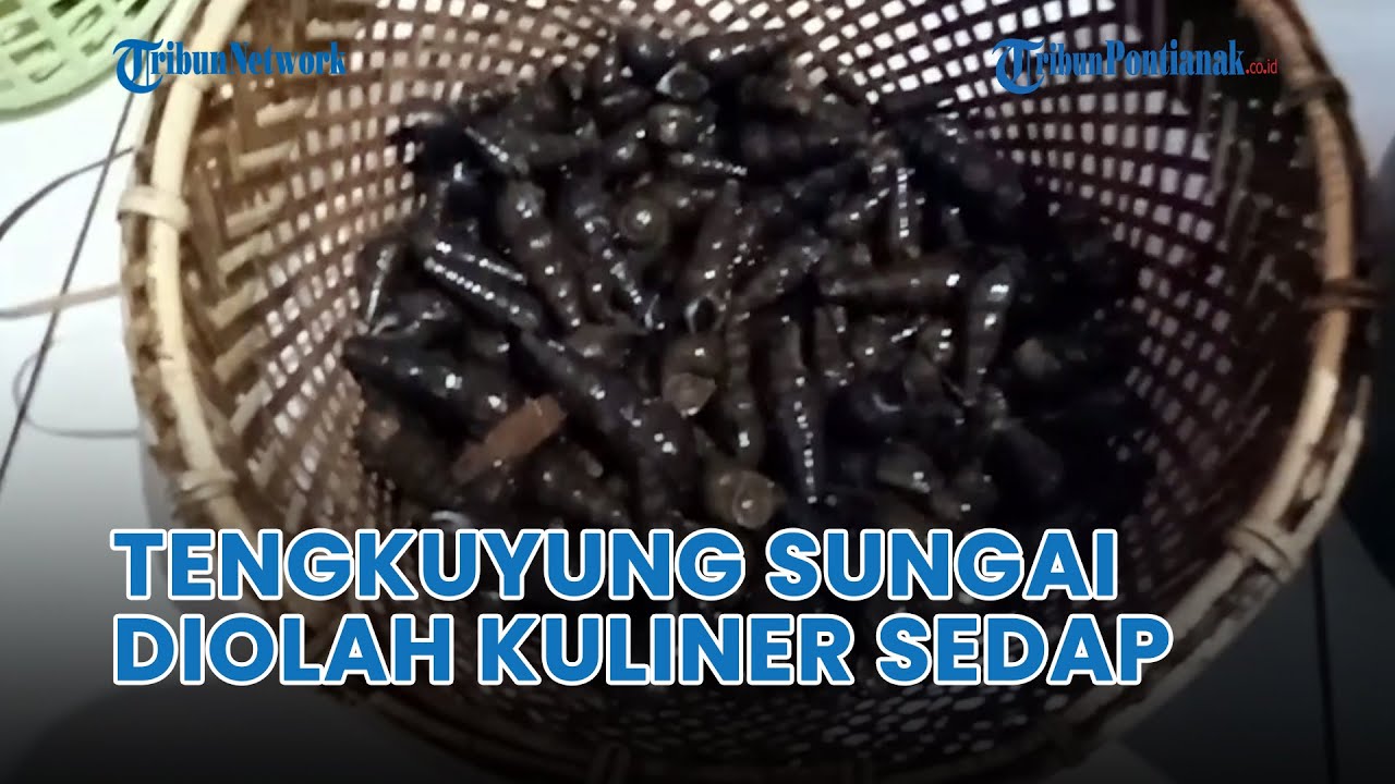 ®️🔴 Tengkuyung Sungai Diolah Menjadi Menu Kuliner Sedap - YouTube