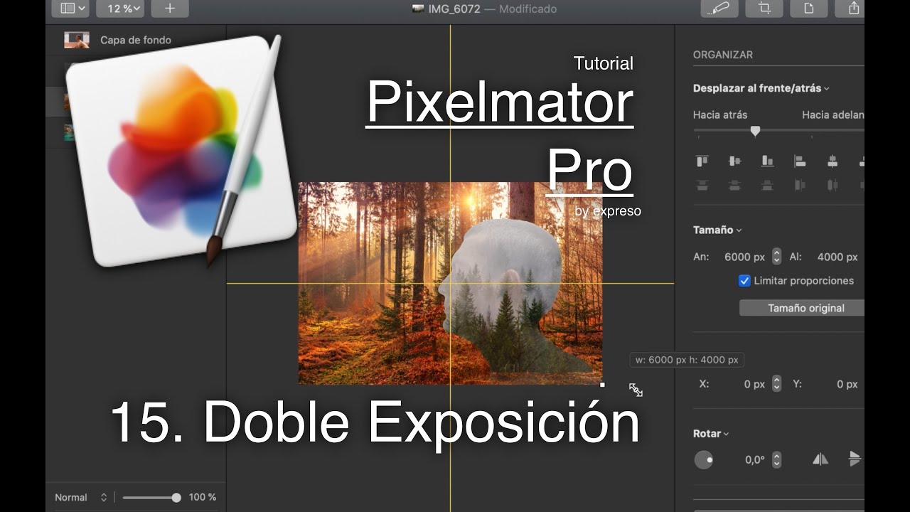 Pixelmator vector tutorial - molilazy