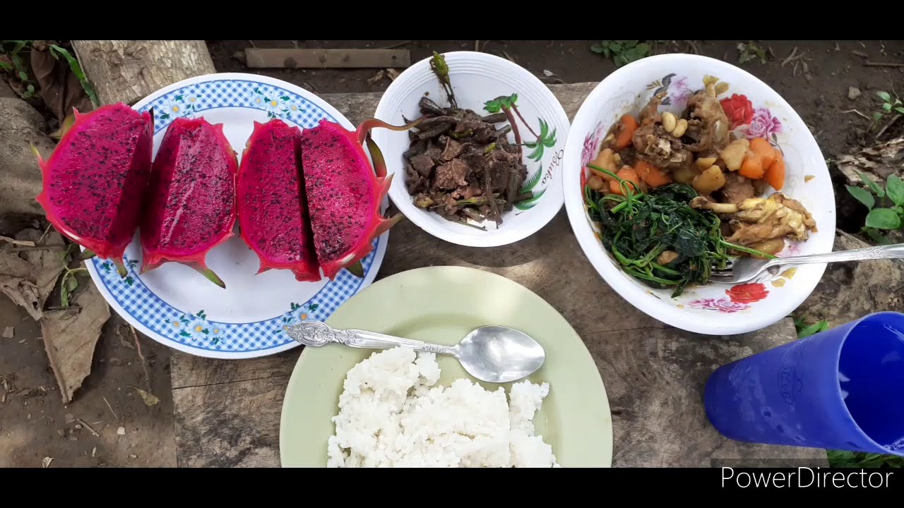 Favorite recipe of native chicken|plus harvesting dragonfruit|outdoor ...