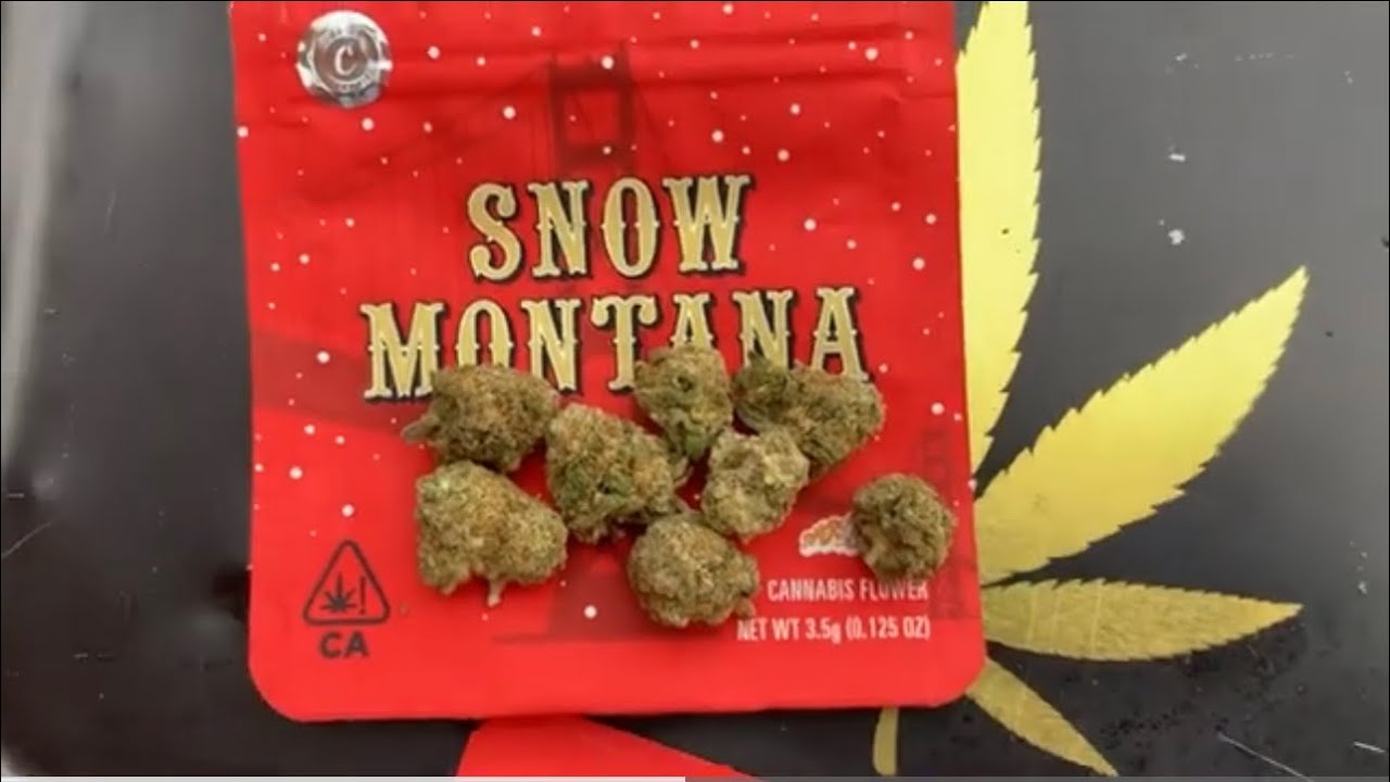 COOKIES HAYWARD SNOW MONTANA NEWEST STRAIN - YouTube