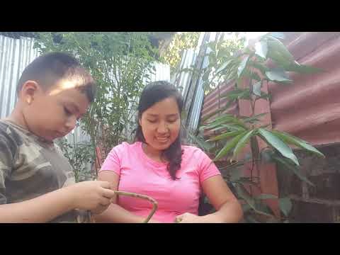 Cociendo frijoles monos