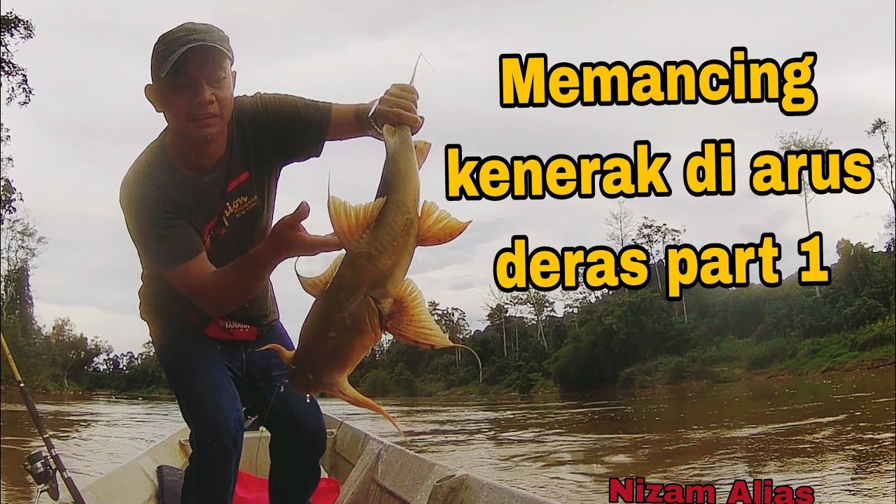 MEMANCING IKAN KENERAK DI ARUS DERAS PART 1 - YouTube