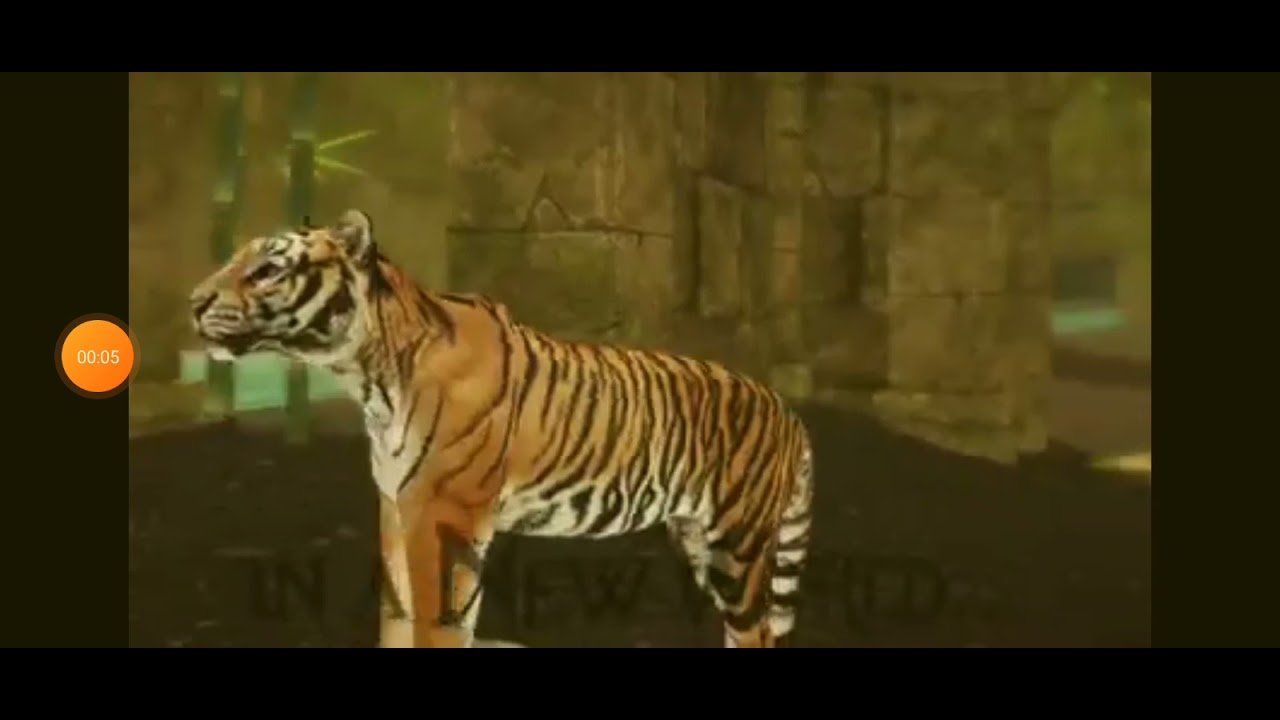 Killing a Bear is so much hard in ultimate tiger simulator 2. - YouTube