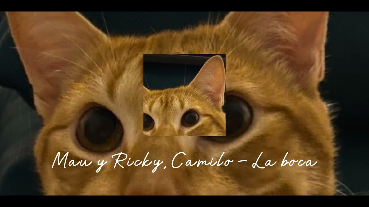 La boca (Seed Up) - Mau y Ricky, Camilo - YouTube