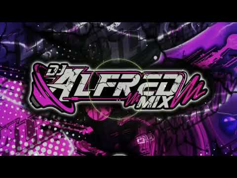 INTRO ABEJITA 🐝 VS PERREO INTENSO / COCHINOLA DBTN  DJ ALFREDMIX CAR AUDIO ⚡