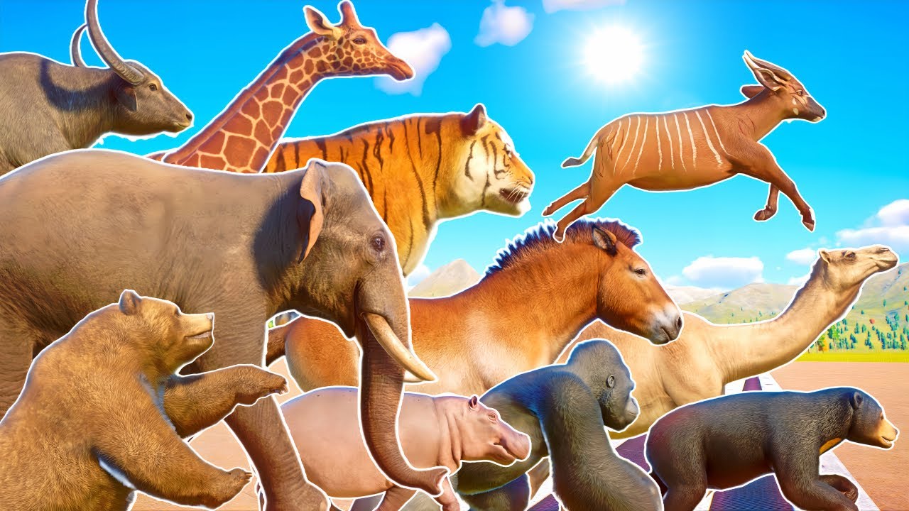 50+ Animals Ultimate Running Race in Tropical Land, 2x Mega Races ...