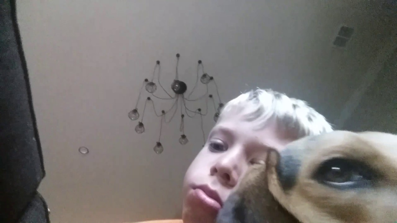 Quick little vines - YouTube