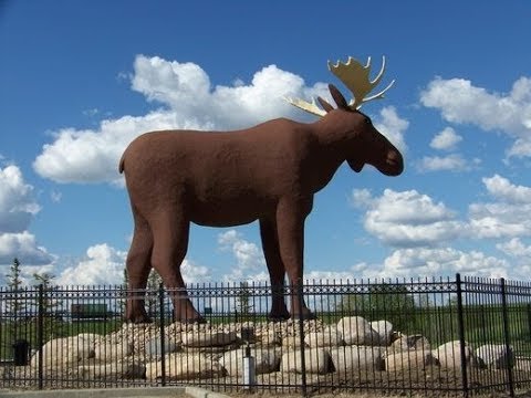 Worlds tallest moose statue | Moose Jaw | 4k video | Regina ...
