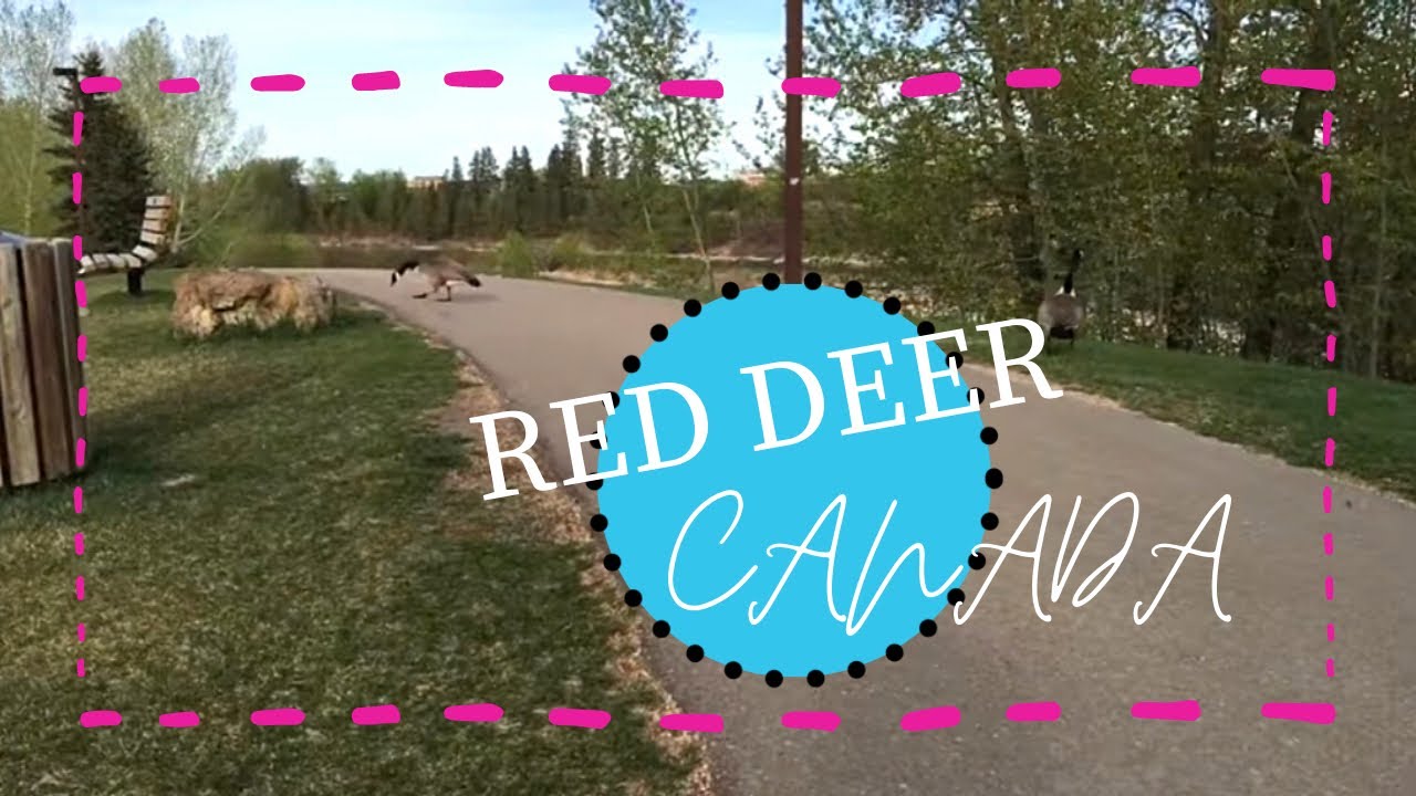 Mini paseo por un parque en Red Deer, Canadá 🇨🇦 - YouTube