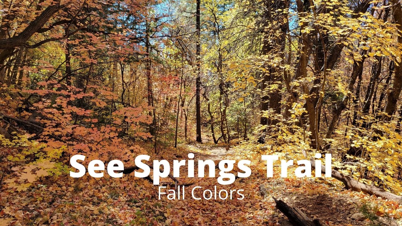 See Spring Trail - Hiking in Arizona - YouTube