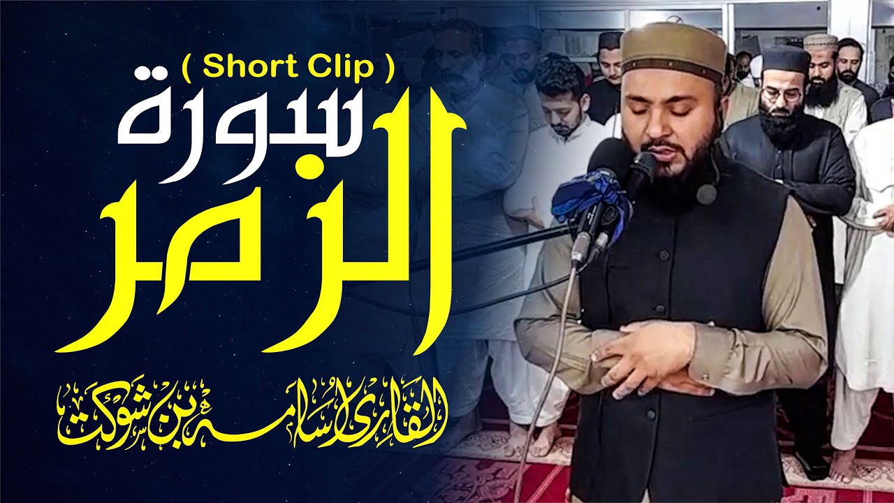 سورة الزمر ( Short Clip ) - Peaceful Recitation - Qari Osama Shaukat ...
