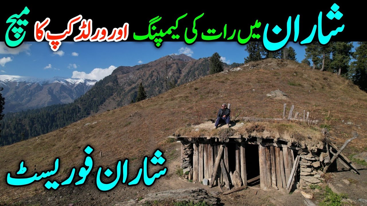 Sharan forest | The beauty of Sharan Valley | Camping at Sharan Forest ...