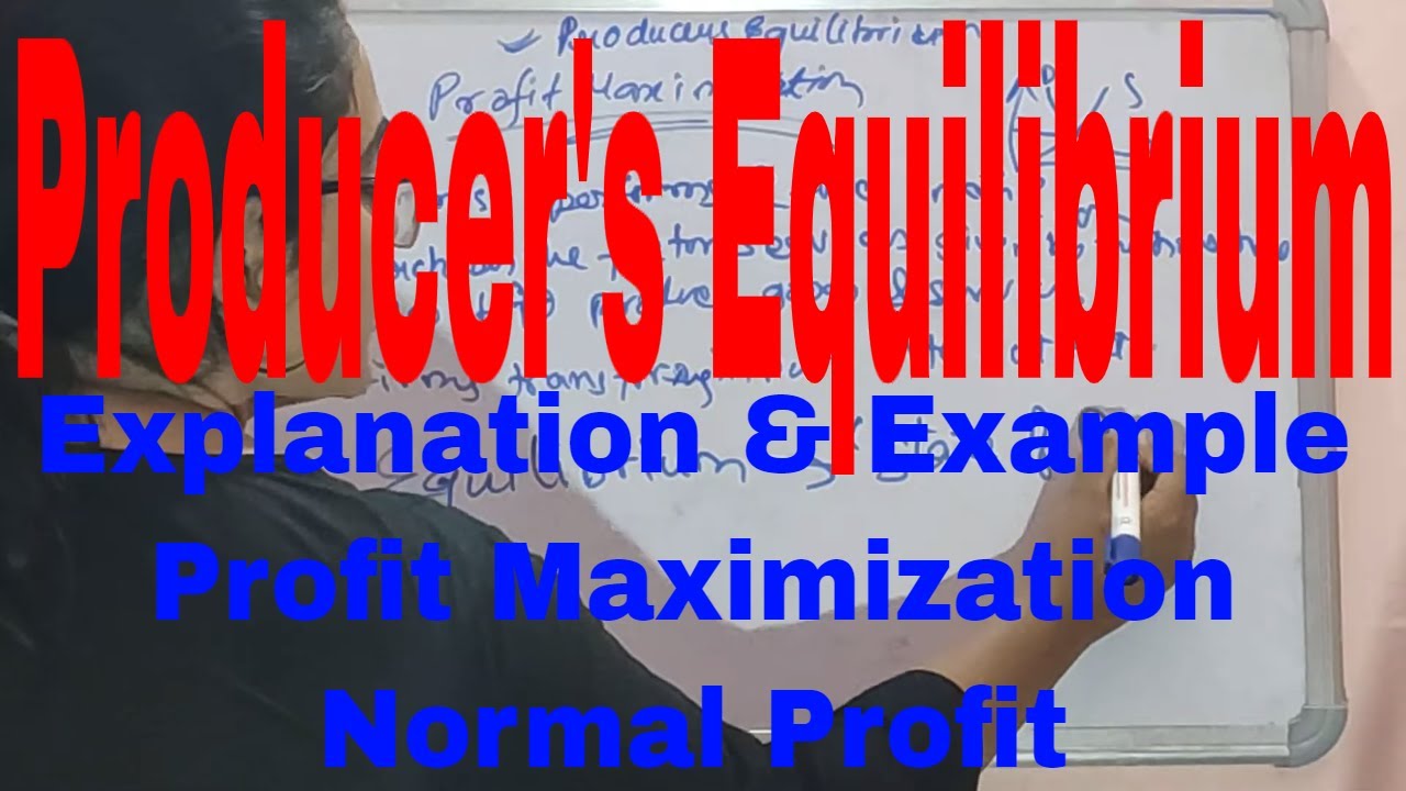 Producer's Equilibrium|What is Producer Equilibrium|Profit Maximization ...