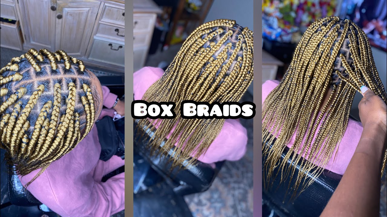 Color 27 Box Braids - YouTube