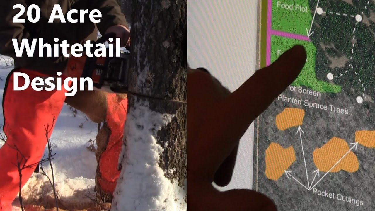 20 Acre Deer Hunting Property Design - YouTube