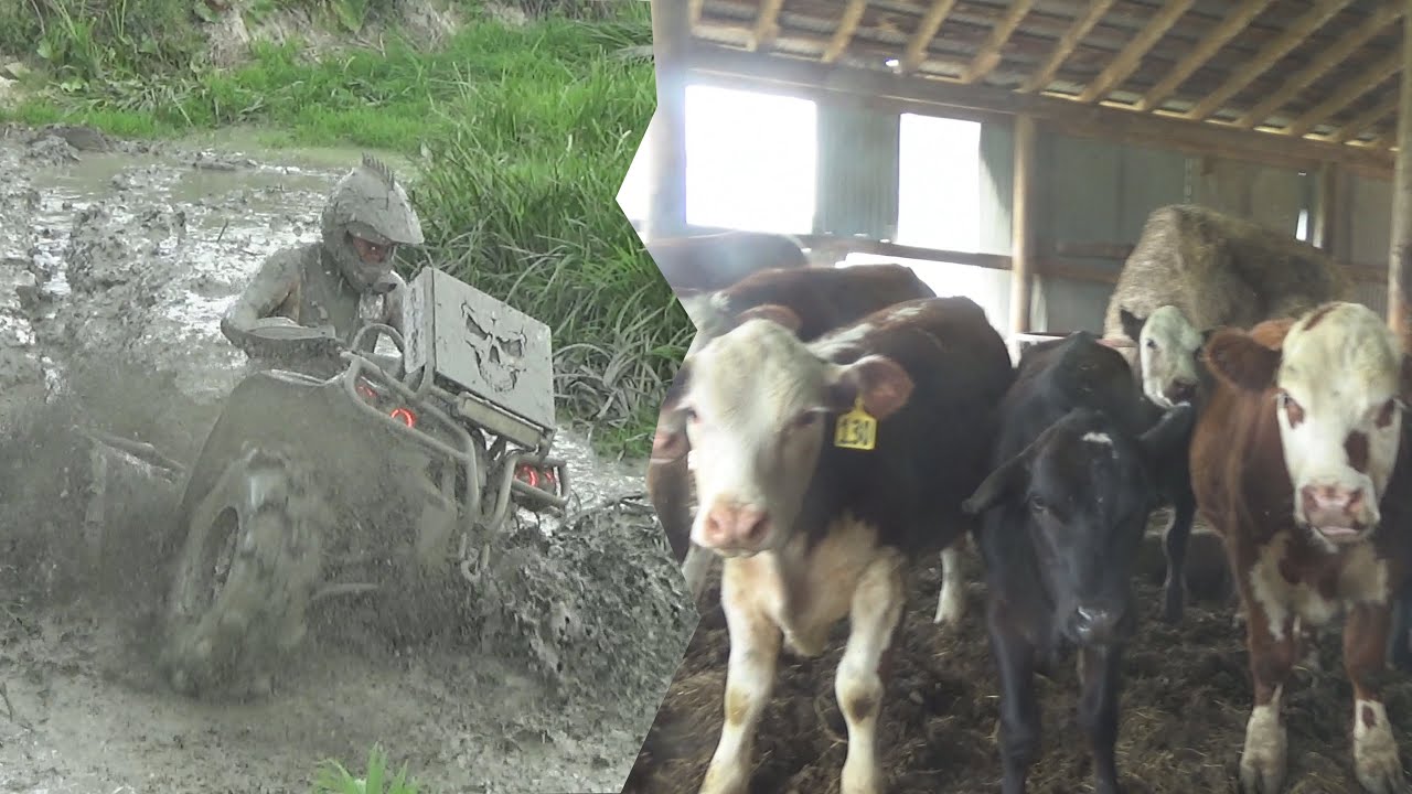 MUDDING AND FARMING .... DEMON RUN ATV TRAILS PT 7 THE END! - YouTube