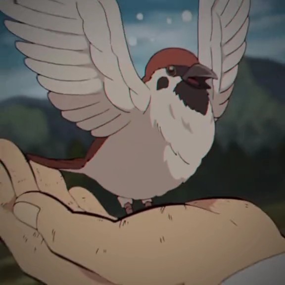 yang lain gagak cuma zenitsu yang burung Pipit #anime #animeedit # ...