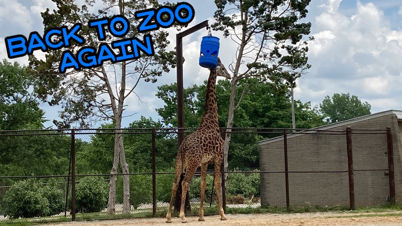 I went to the zoo again lol - YouTube