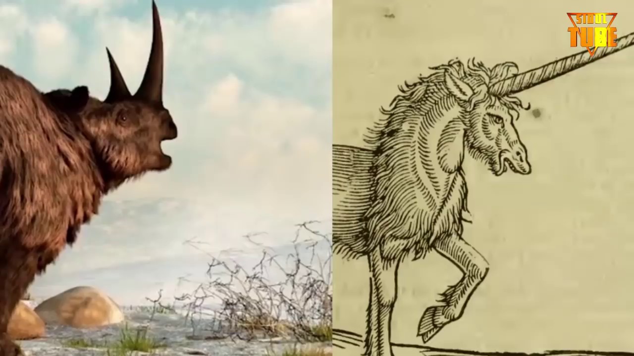 10 PENAMPAKAN MAKHLUK MITOS DI KEHIDUPAN NYATA - YouTube