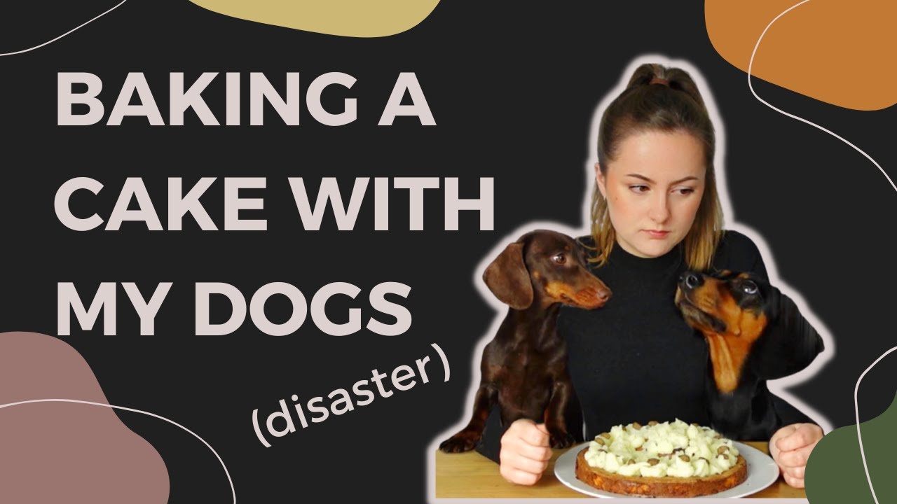 Dog Friendly Cake | Baking with my dogs (a disaster) - YouTube