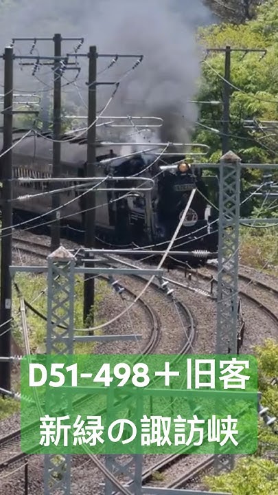 【SLぐんま2023】D51-498+旧客編成「SLぐんま水上」新緑の諏訪峡通過快速通過！[JR EAST] steam locomotive class D51 pulling "SL ...