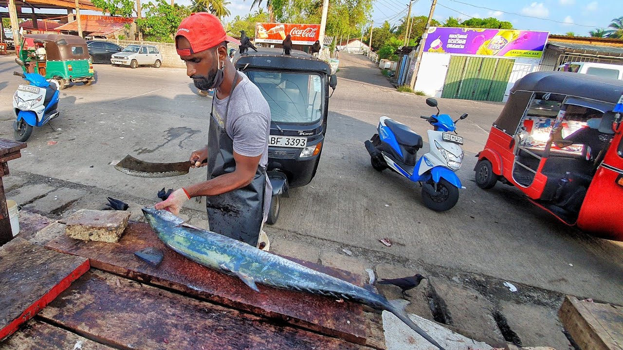 Huge Spanish Mackerel Fish Slicing in Sri Lanka 🇱🇰| Seer Fish Slicing ...