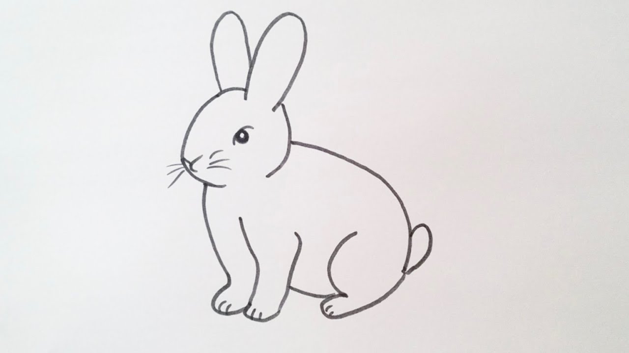how to draw rabbit drawing easy step by step@ArtLoveArtist - YouTube