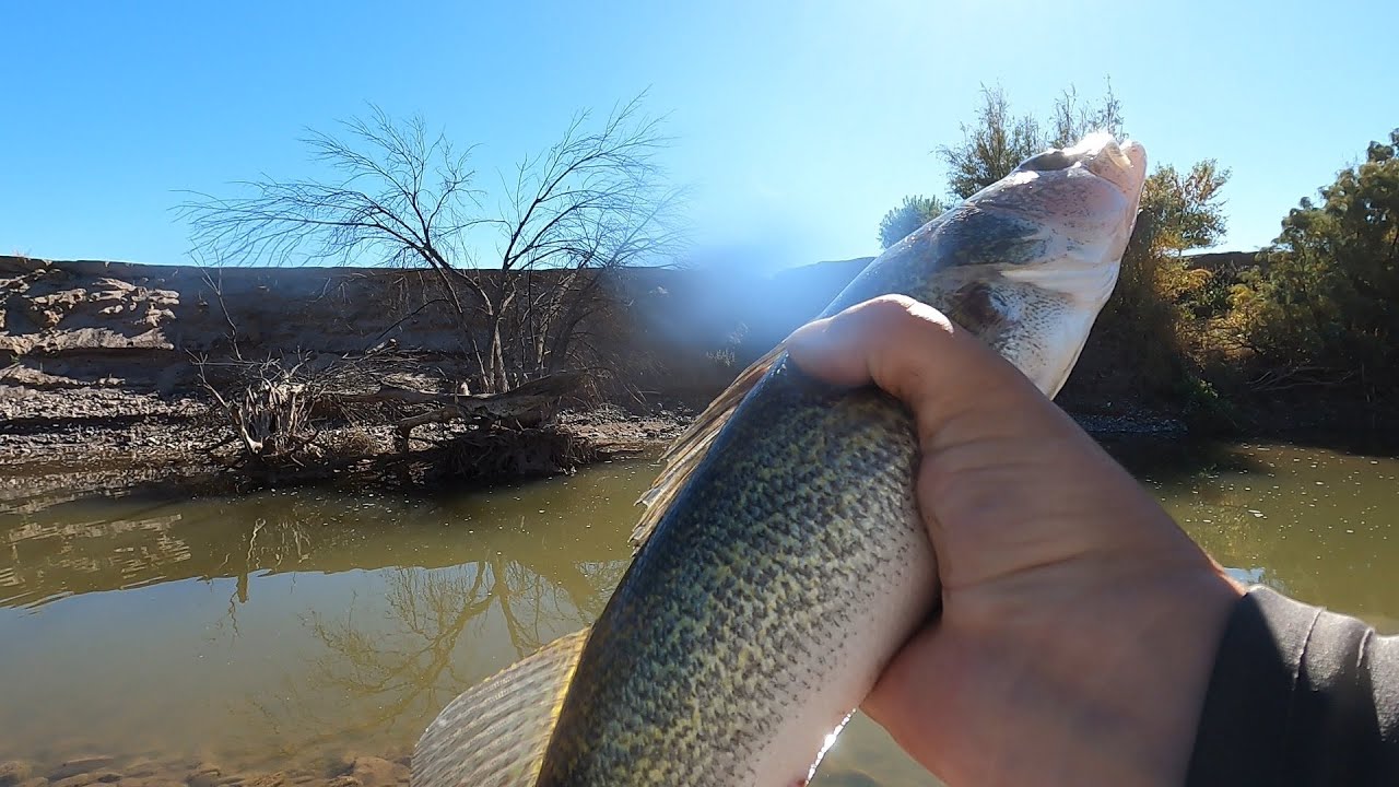 Fishing a Little Hole in the River (Ft. MuddyRiverCatfishing) - YouTube
