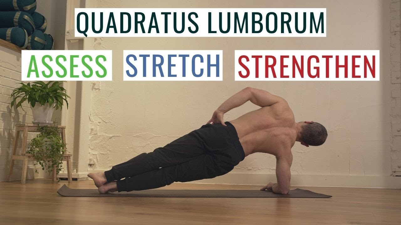 Quadratus Lumborum (Assess, Stretch, Strengthen) - YouTube