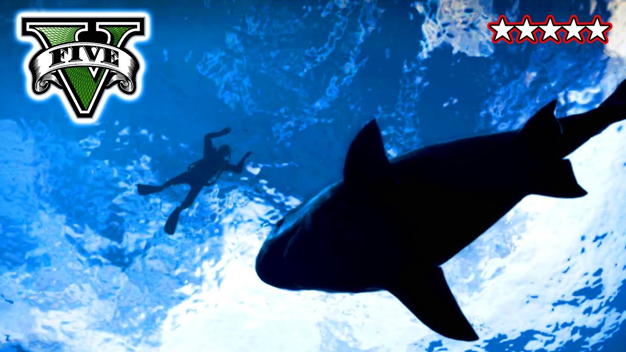 GTA 5 Shark Attack - Hunting Sharks on GTA V - Funny Crew Moments Grand Theft Auto 5 - YouTube