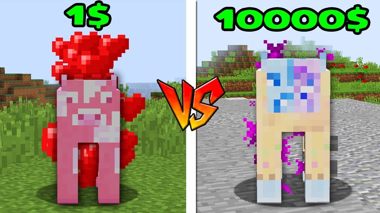 BÒ 1$ SO VỚI BÒ 10 000$ | CÁCH CÓ CON BÒ MẠNH NHẤT (Channy Minecraft ...