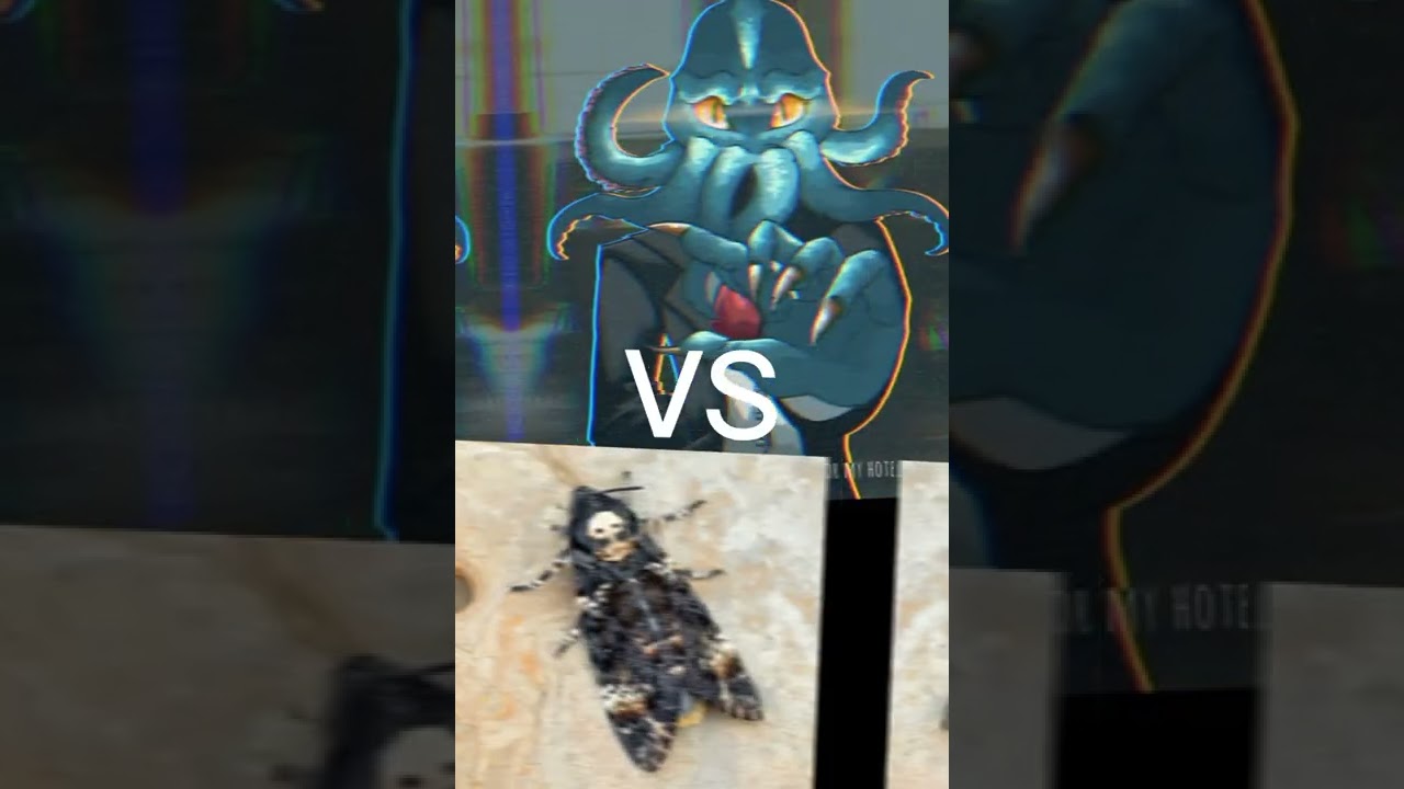 backrooms elimination wheel entity 18 vs death moth - YouTube
