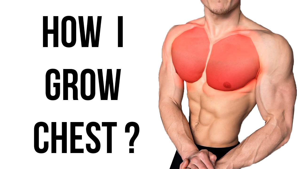 Chest Workout - Basic & Most Effective Exercises - YouTube
