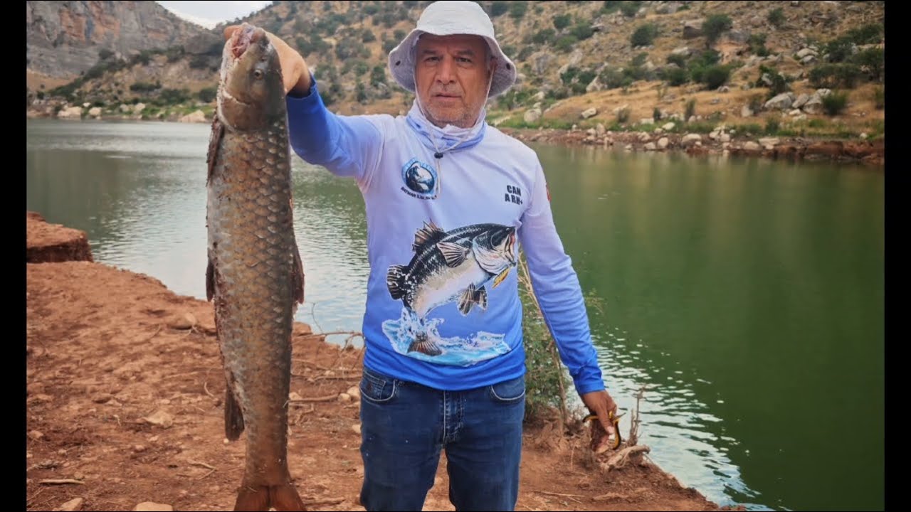 Zorlu arazi koşullarında 6 kg şabut balığı yakaladım #sabut #fishing ...