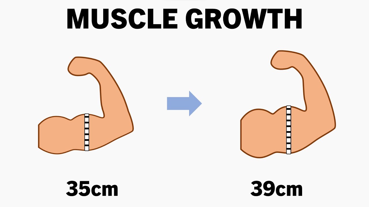 What is the Best Way to Measure Muscle Growth? - YouTube