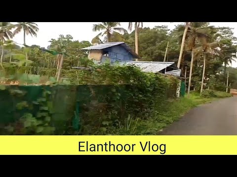 Elanthoor Vlog # Beauty Of Nature # Kerala 💕💕🙏 - YouTube
