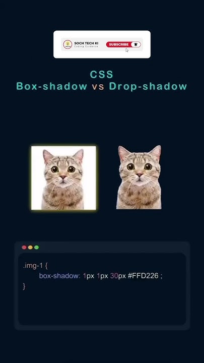 Box Shadow vs Drop Shadow in CSS | Quick Visual Difference Explained #htmlcss #html #css # ...