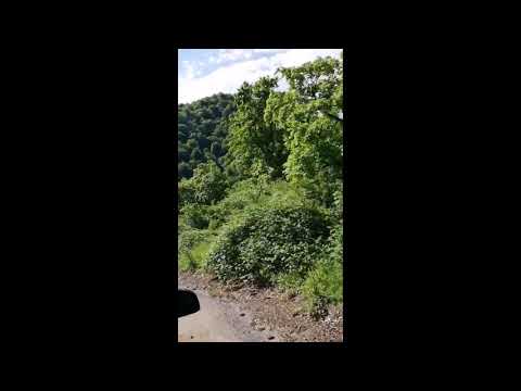 tovuz daglari