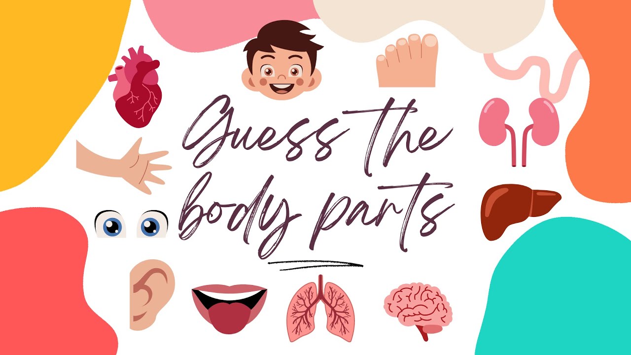 Guess the Body Part Challenge | Body parts Quiz #bodypartsname #biology ...