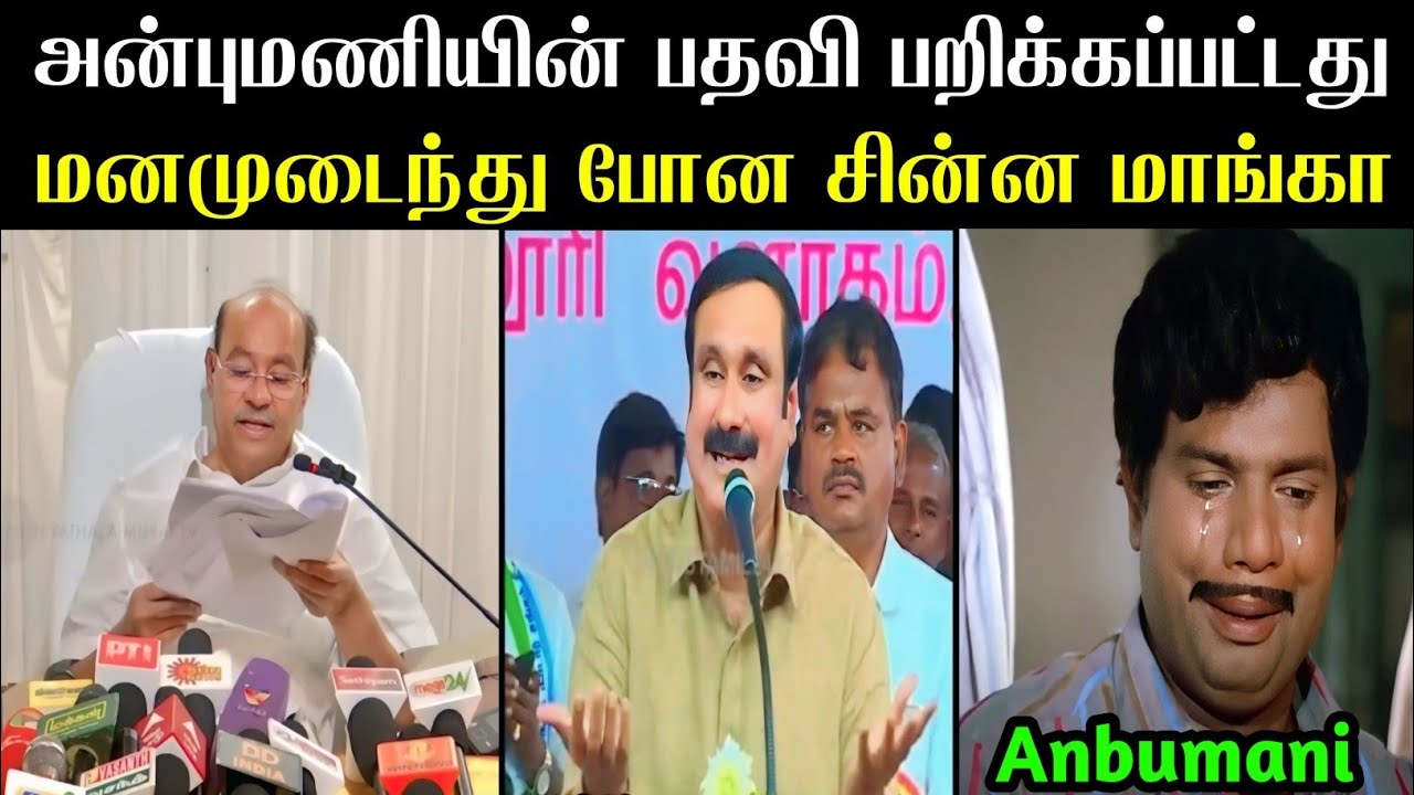 சின்ன மாங்காவை கல்லால அடிச்ச பெரிய மாங்கா | Pmk Anbumani Troll | Pmk ...