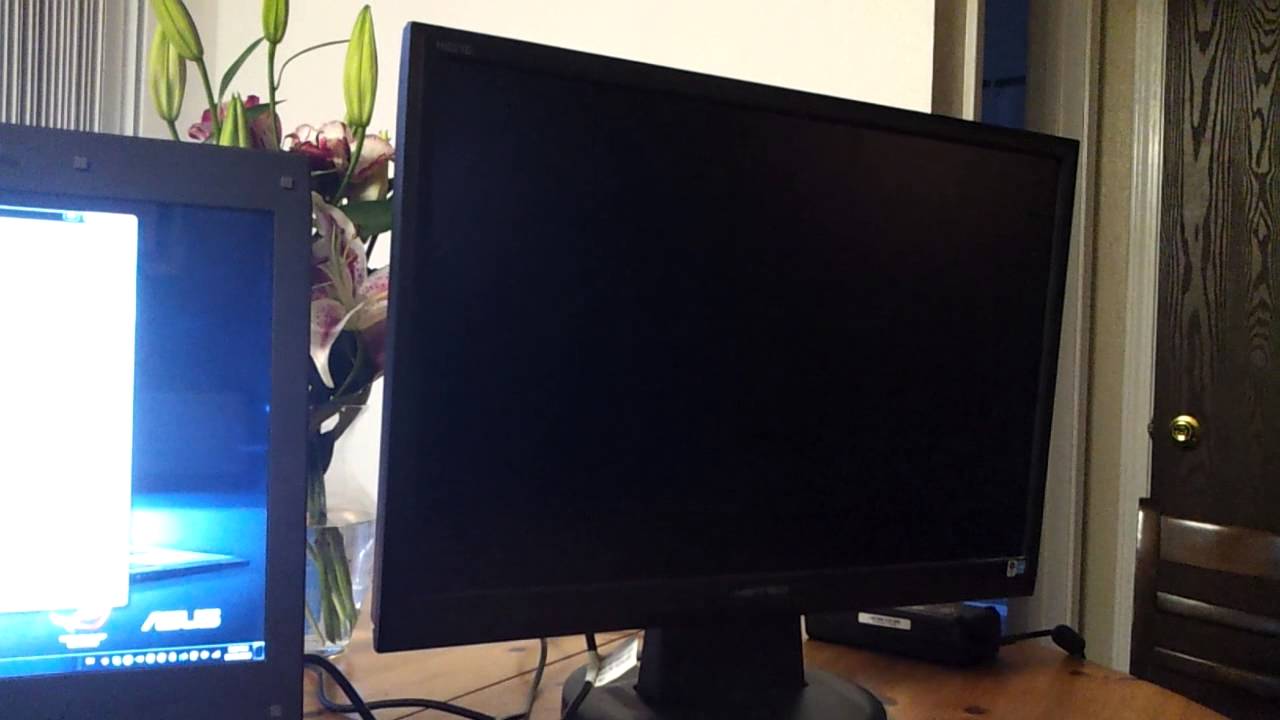 HannS.G Monitor For sale - YouTube