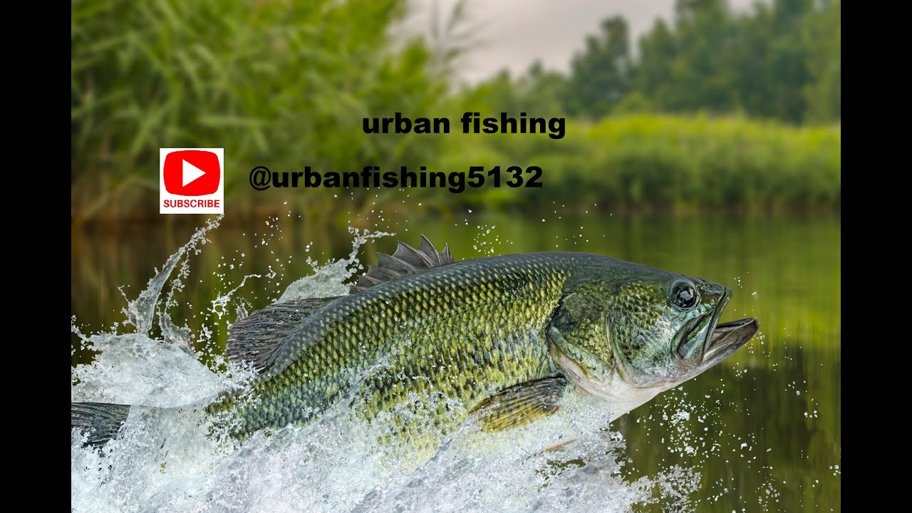 Bass fishing 3'' paddle tail minnow early spring - YouTube