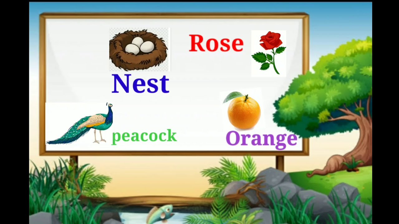 N O P Q R Words / Learn the words with spelling /English Alphabet ...