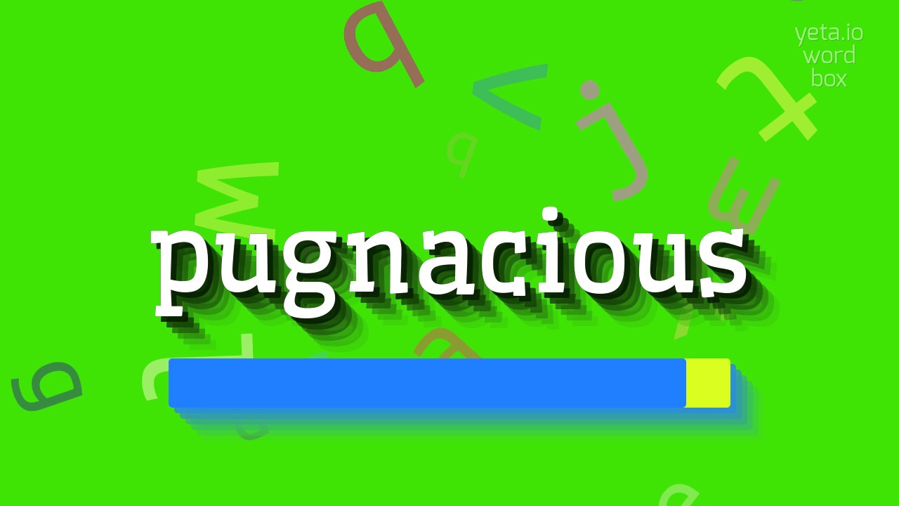 How to say "pugnacious"! (High Quality Voices) - YouTube