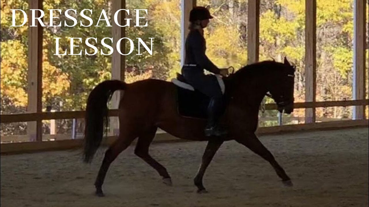 A Day of Dressage Lessons - YouTube