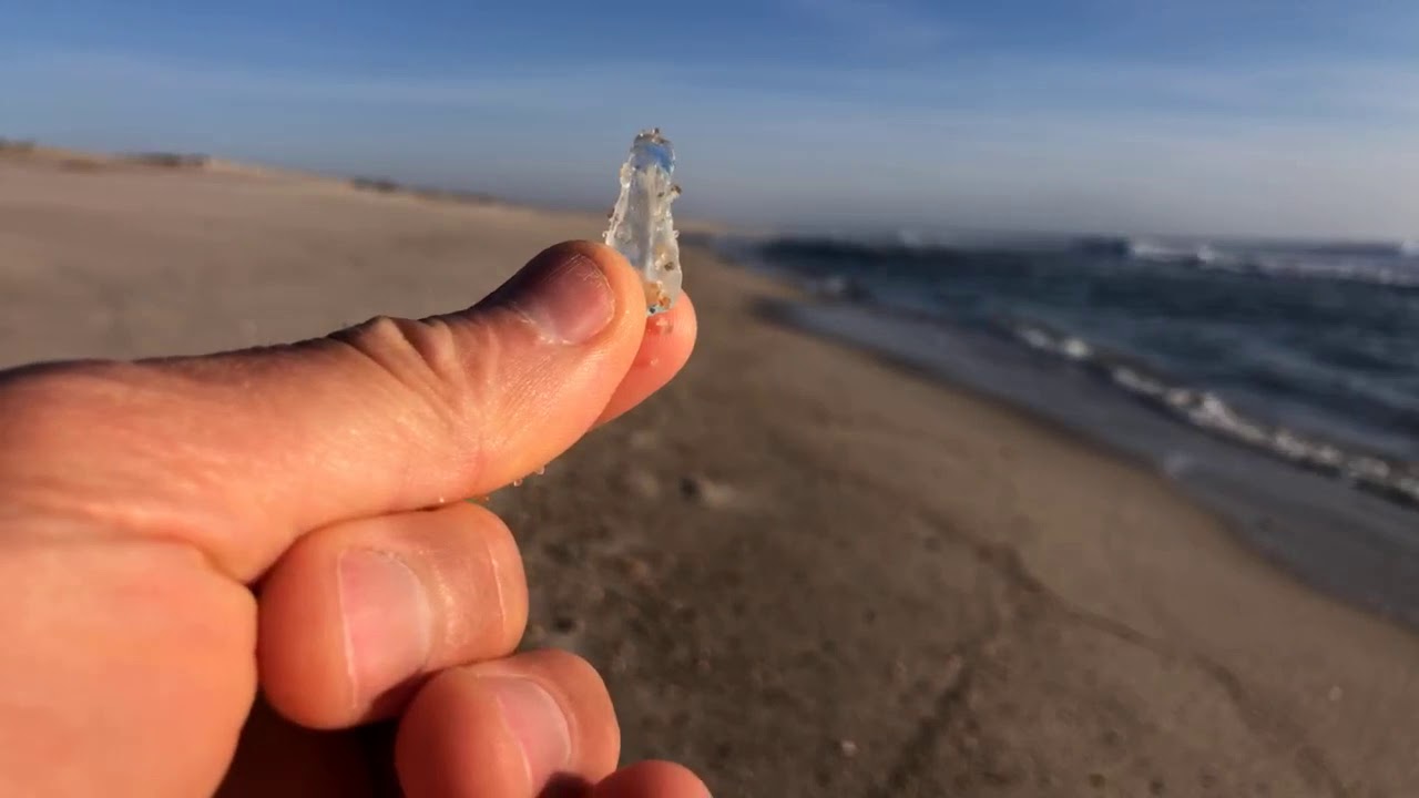 Beach Report Seaside Park & Midway 'Beach 3/3/2020 - YouTube